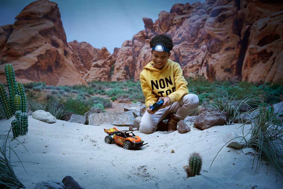 Nikko Toys Race Buggies R/C – Plum Play UK